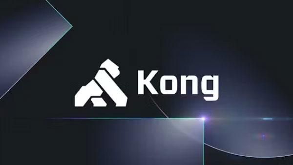 Reports | Kong Inc.